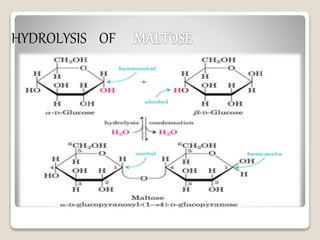 Hydrolysis Diagram
