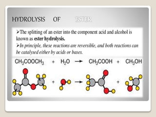 Hydrolysis Reaction