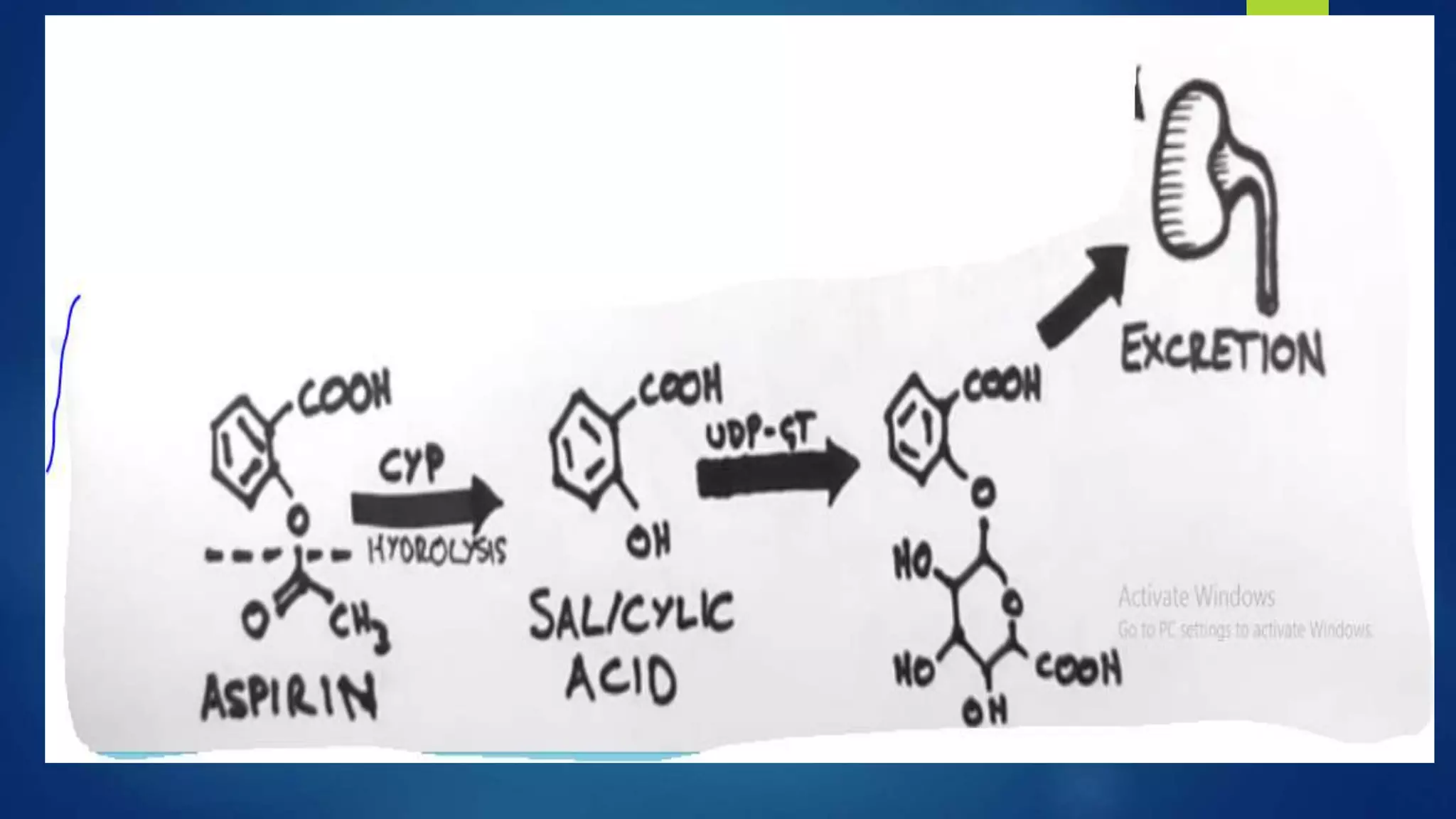 drug metabolism-hydrolysis | PPTX