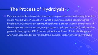 Hydrolysis1 | PPT
