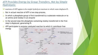 Hydrolysis of ATP | PDF