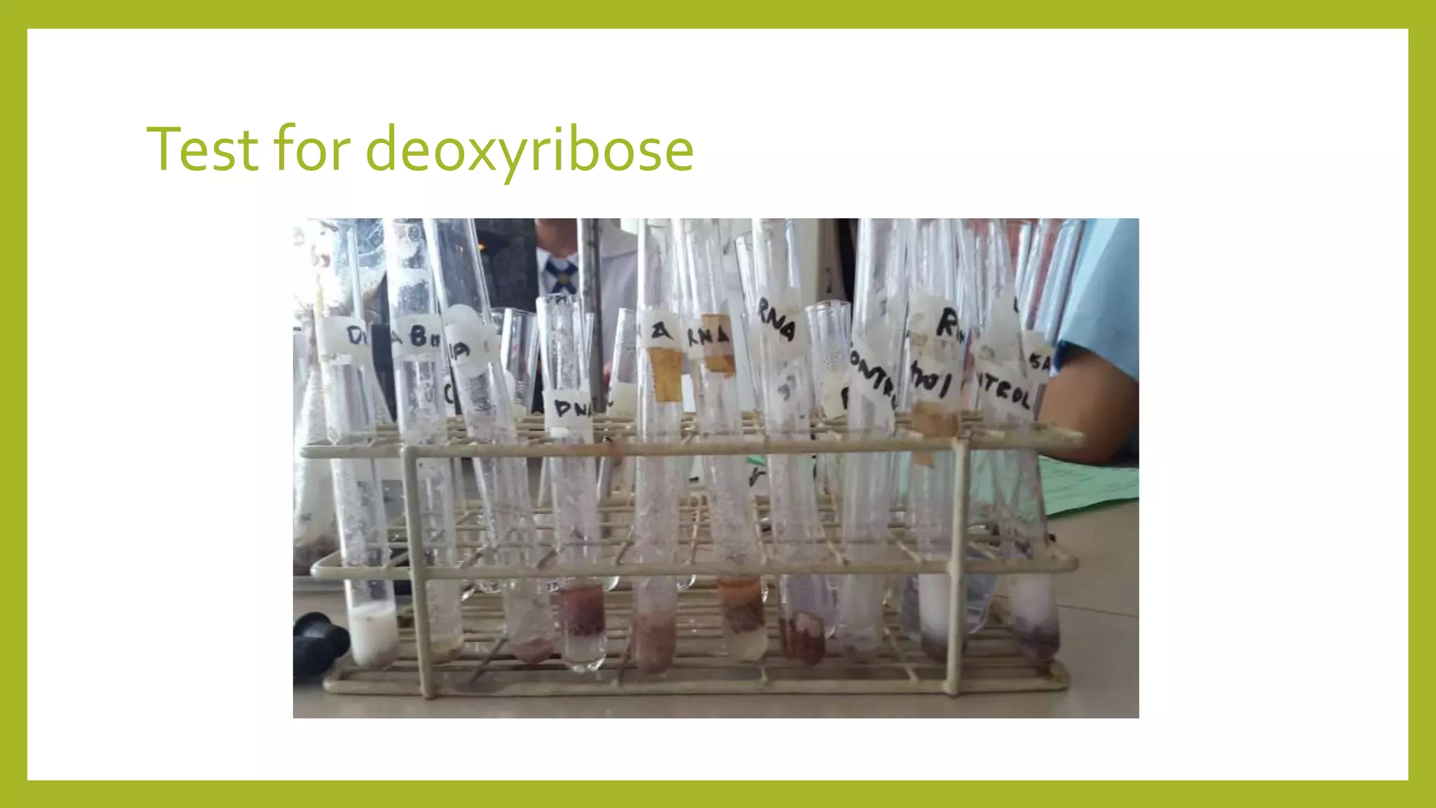 Hydrolysis_of_nucleic_acids.pptx