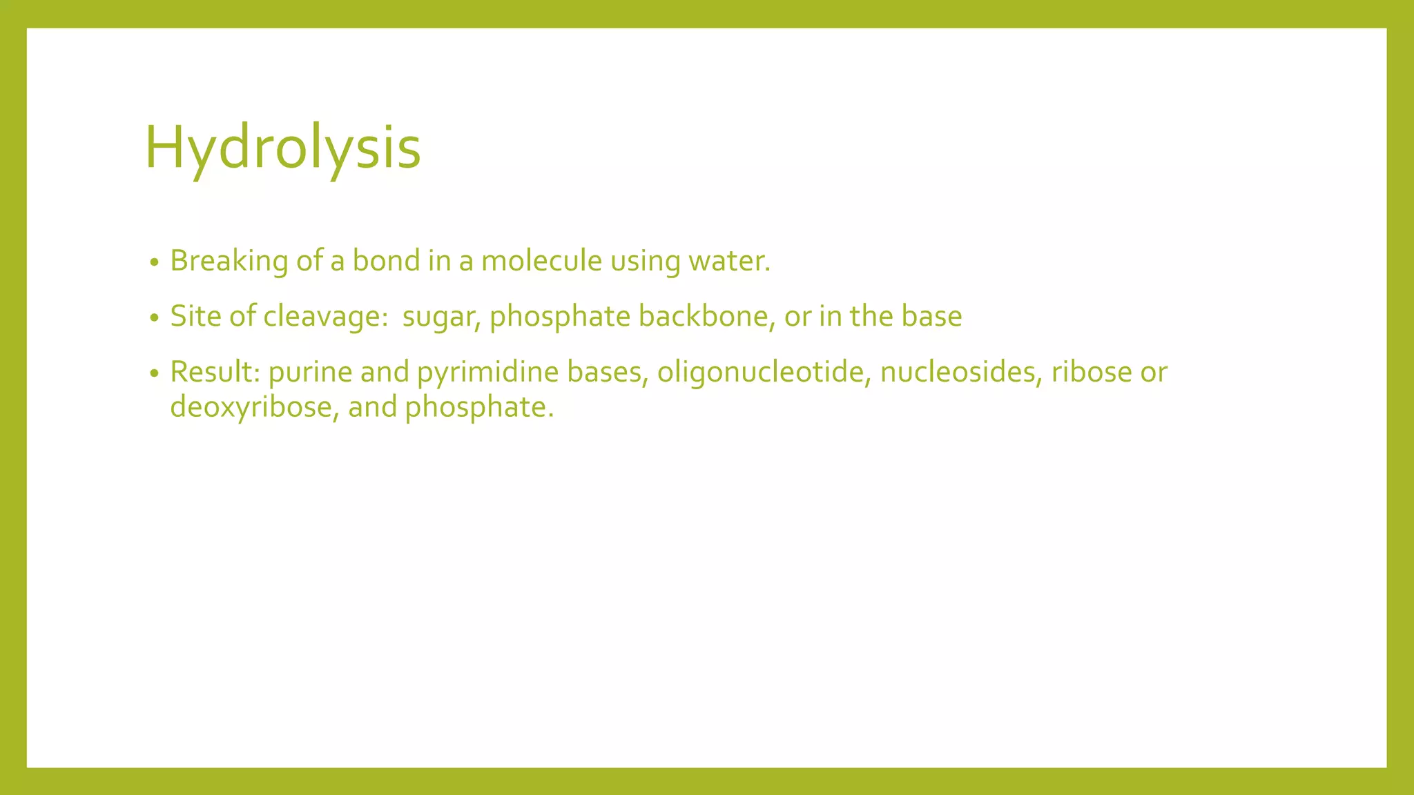 Hydrolysis_of_nucleic_acids.pptx