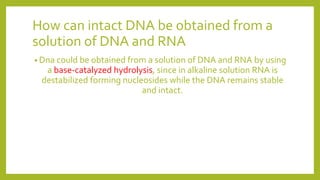 Hydrolysis_of_nucleic_acids.pptx