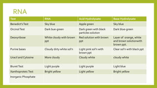 Hydrolysis_of_nucleic_acids.pptx
