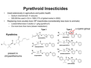 Hydrolysis of pyrethroids by human and rat tissues | PPT