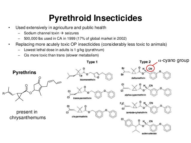 Hydrolysis of pyrethroids by human and rat tissues