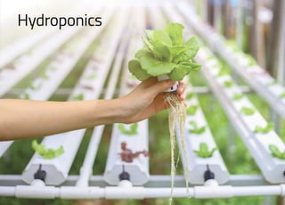 Hydromo-Water Treatment in Hyderabad.pdf