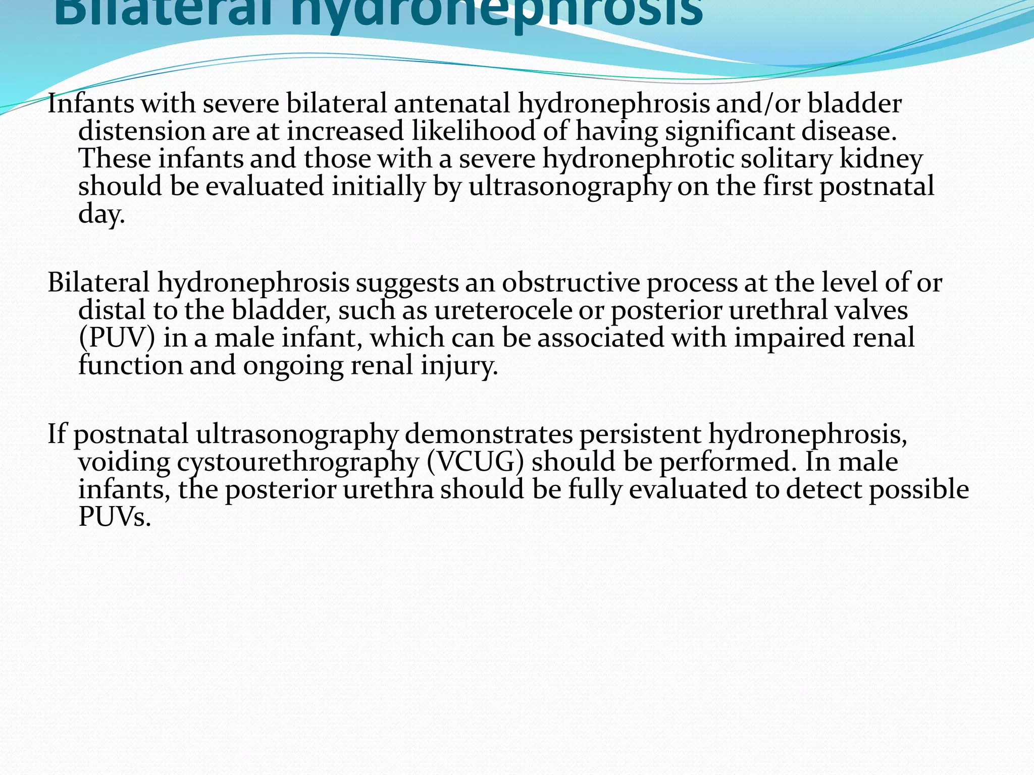 Hydronephrosis | PPTX