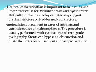 Hydronephrosis | PPTX