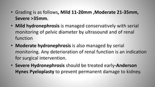 Hydronephrosis | PPTX