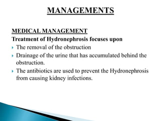 Hydronephrosis | PPTX