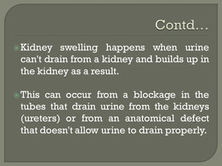 Hydronephrosis | PDF