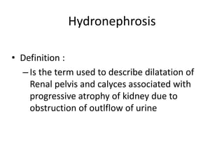 Hydronephrosis | PPT