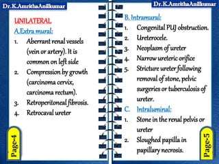 Hydronephrosis by Dr.K.AmrithaAnilkumar | PPT