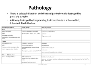 HYDRONEPHROSIS.ppt