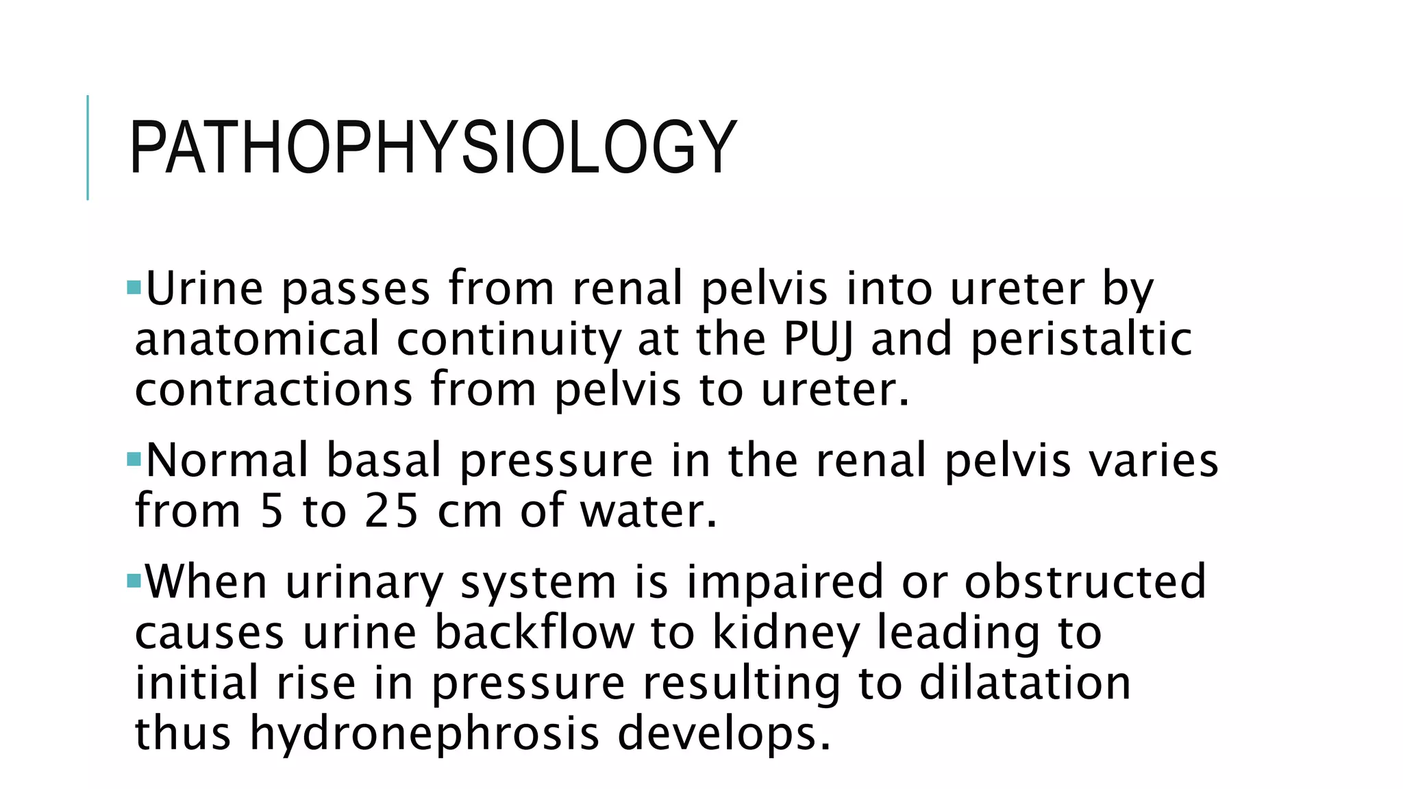hydronephrosis.pptx