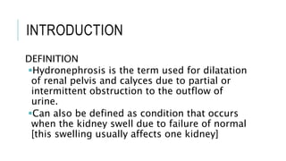 hydronephrosis.pptx
