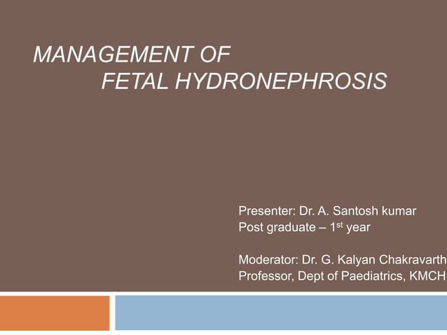 hydronephrosis.pptx