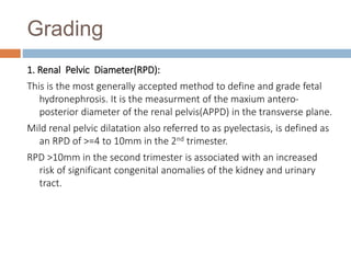hydronephrosis.pptx