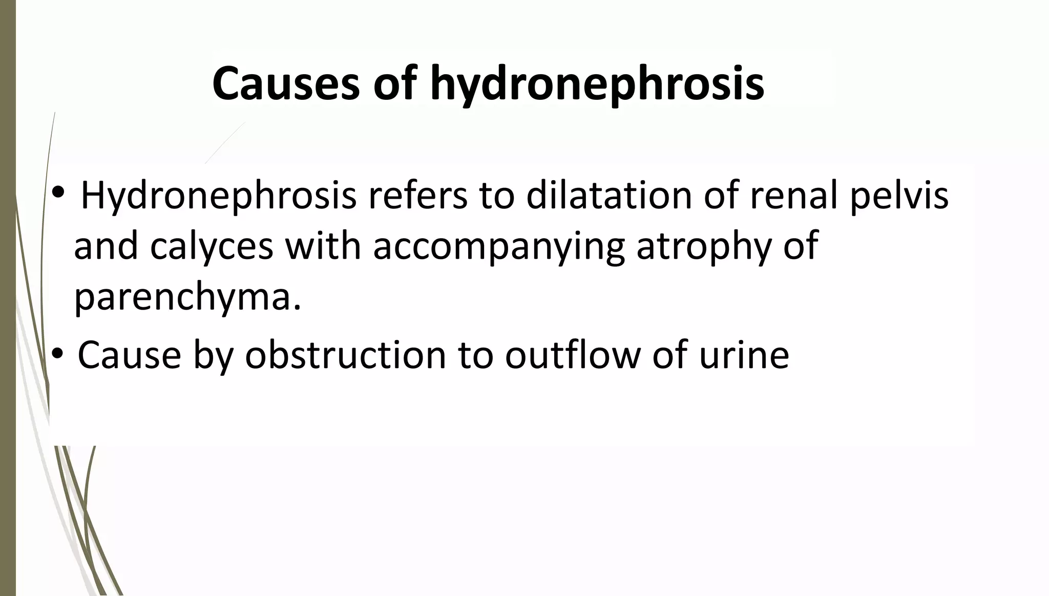 hydronephrosis.pptx