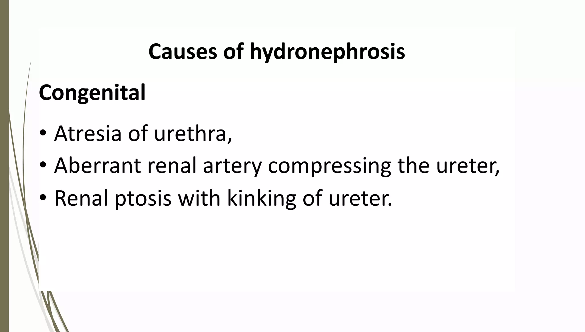hydronephrosis.pptx
