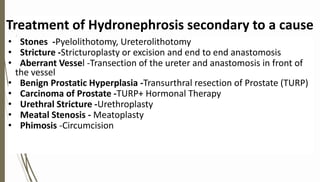 hydronephrosis.pptx