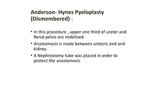 HYDRONEPHROSIS clinical evaluation and management - DR RANJIT.pptx