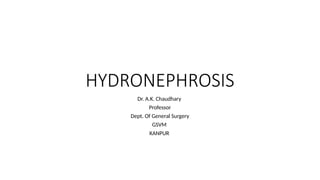 hydronephrosis lecture for MBBS students | PPTX
