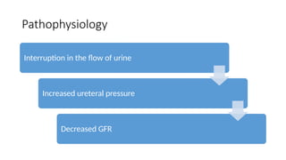hydronephrosis lecture for MBBS students | PPTX