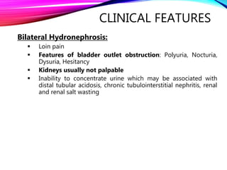 Hydronephrosis and Pyonephrosis | PPTX