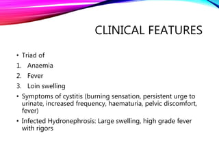Hydronephrosis and Pyonephrosis | PPTX