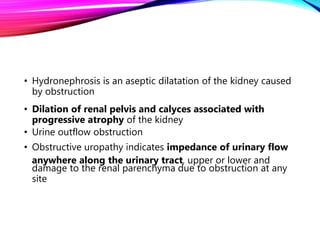 Hydronephrosis and Pyonephrosis | PPTX
