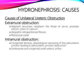 Hydronephrosis and Pyonephrosis | PPTX