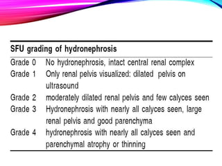 Hydronephrosis and Pyonephrosis | PPTX