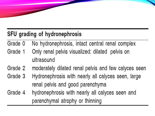 Hydronephrosis and Pyonephrosis | PPTX | Digestive Disorders | Diseases ...