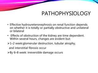 Hydronephrosis and Pyonephrosis | PPTX