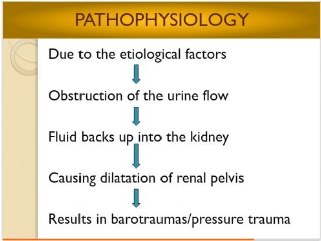 Hydronephrosis for students