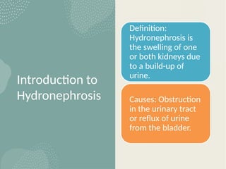 Describe about Hydronephrosis Presentation | PPTX