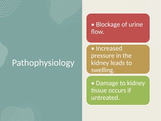 Hydronephrosis disease presentation for nurse | PPT