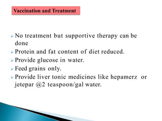 Hydropericardium | PPTX
