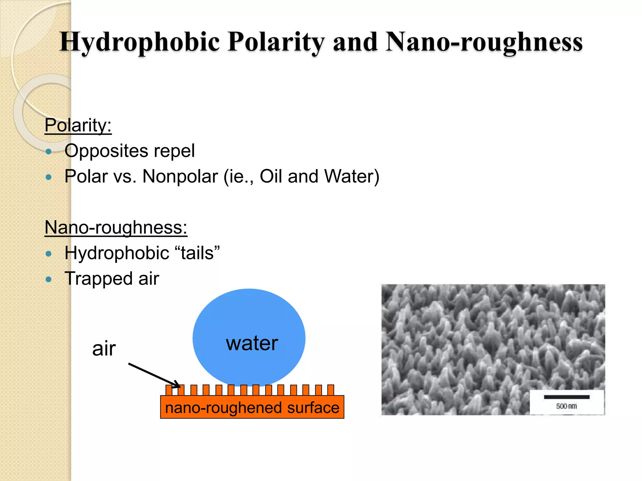 Hydrophilic & hydrophobic presentation | PPTX