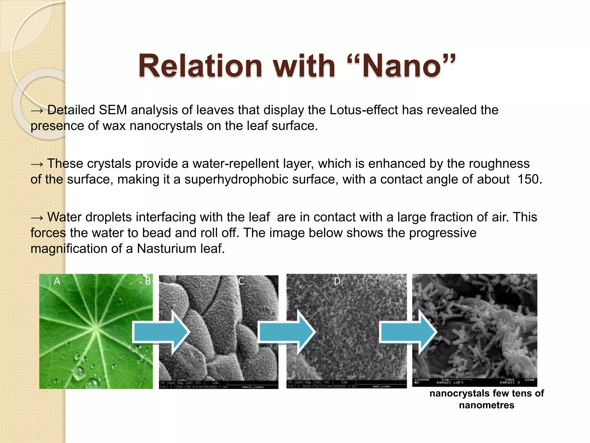 Hydrophilic & hydrophobic presentation | PPTX