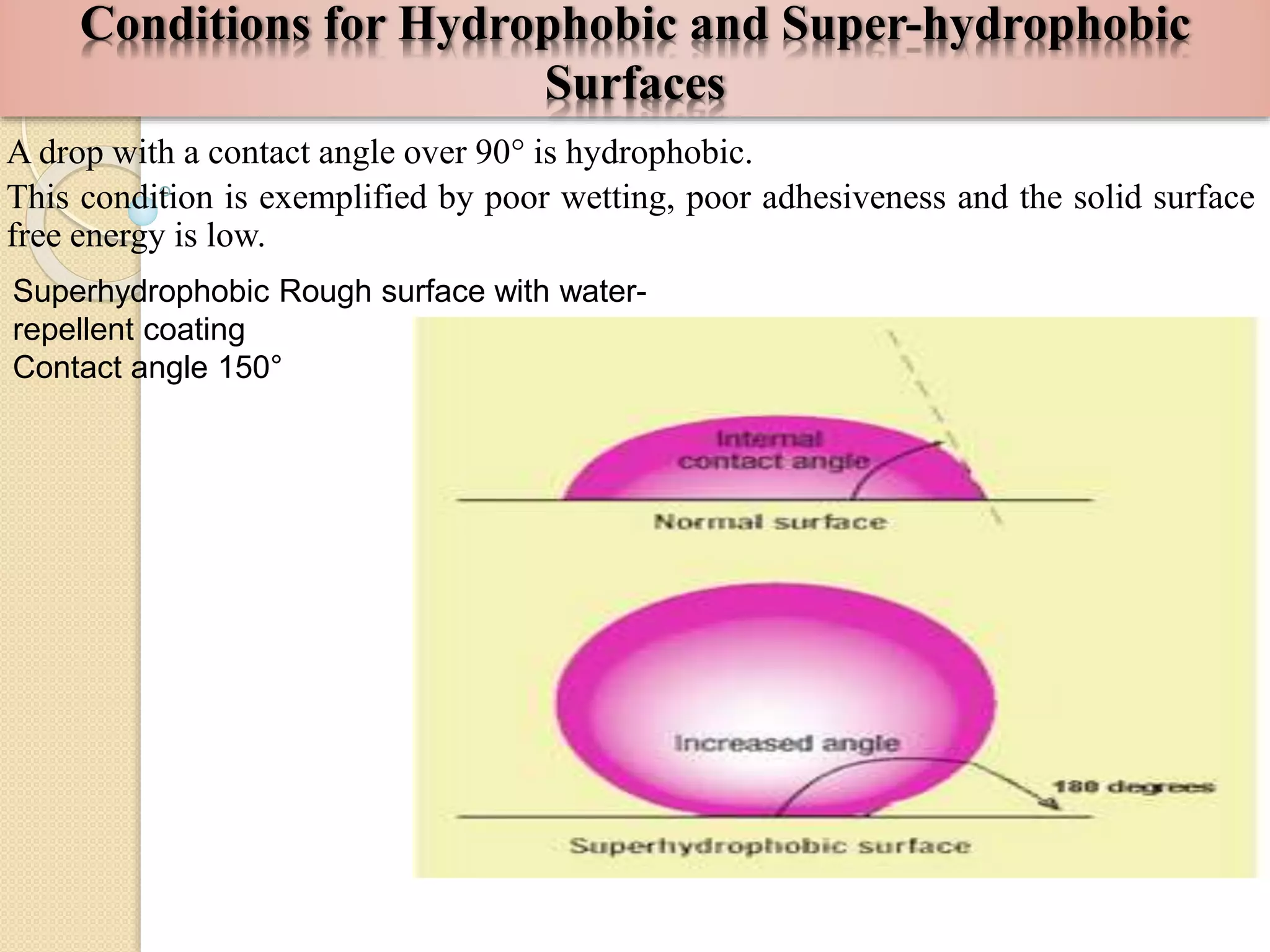 Hydrophilic & hydrophobic presentation | PPTX
