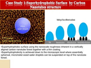 Hydrophilic & hydrophobic presentation | PPTX