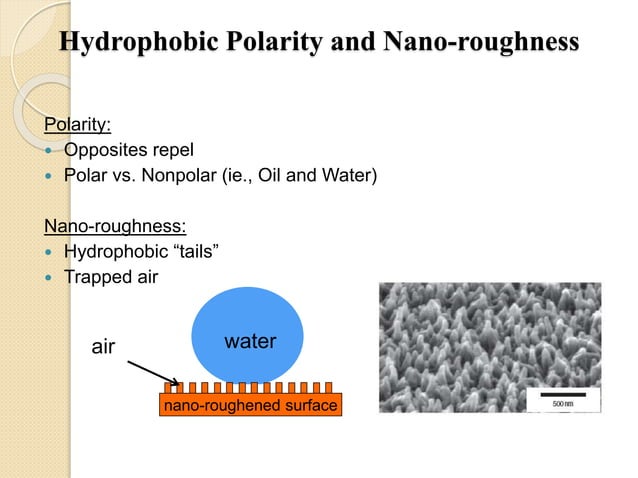Hydrophilic & hydrophobic presentation | PPTX