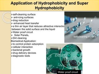 Hydrophilic & hydrophobic presentation | PPTX