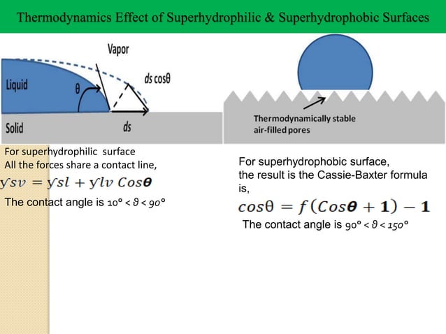 Hydrophilic & hydrophobic presentation | PPTX