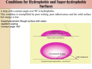 Hydrophilic & hydrophobic presentation | PPTX