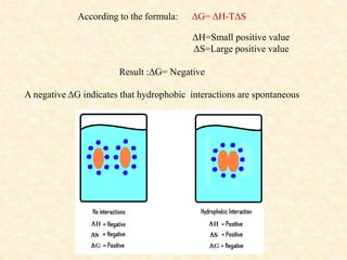 HYDROPHOBIC-HYDROPHILIC.ppt